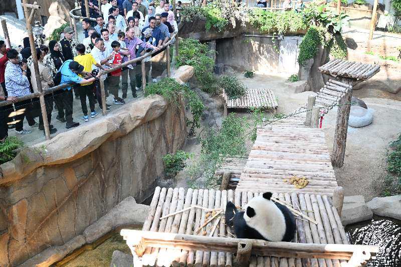 Chinese Ambassador to Indonesia Attends Media Briefing on Newborn Giant ...